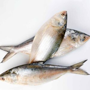 Buy Online Hilsa/Ilish Fish | Hilsa/Ilish Fish Home Delivery